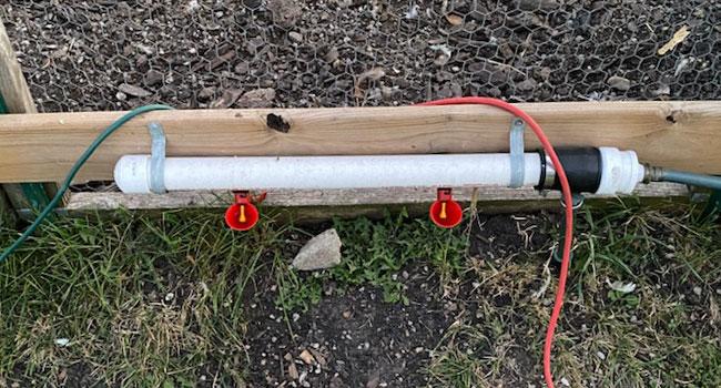 Chicken Watering Systems Complete Set Pipeline Automatic Chicken